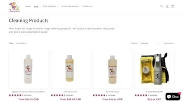 22+ Cleaning Website Examples You Should Be Following