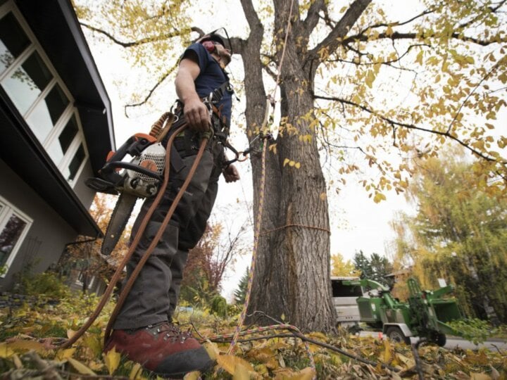 Tree Service and Arborist Business Resources - Jobber