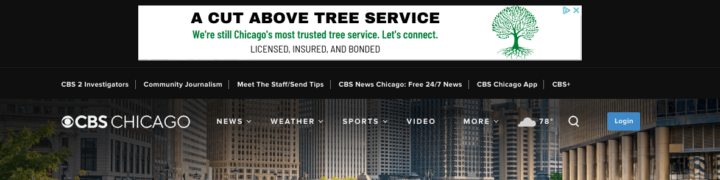 The Best Tree Service Advertising Ideas for Your Business